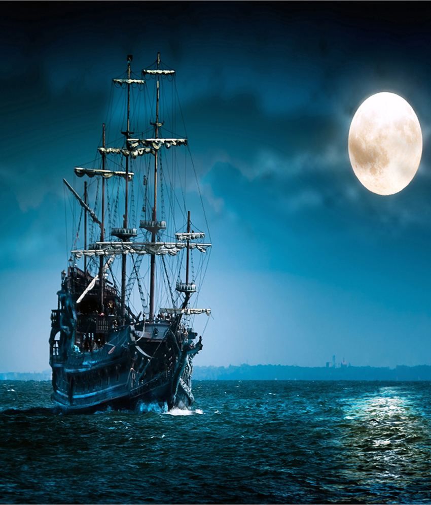 Shopmillions Captain Jack Sparrow Ship 15.6 Inch Laptop Skin By ...