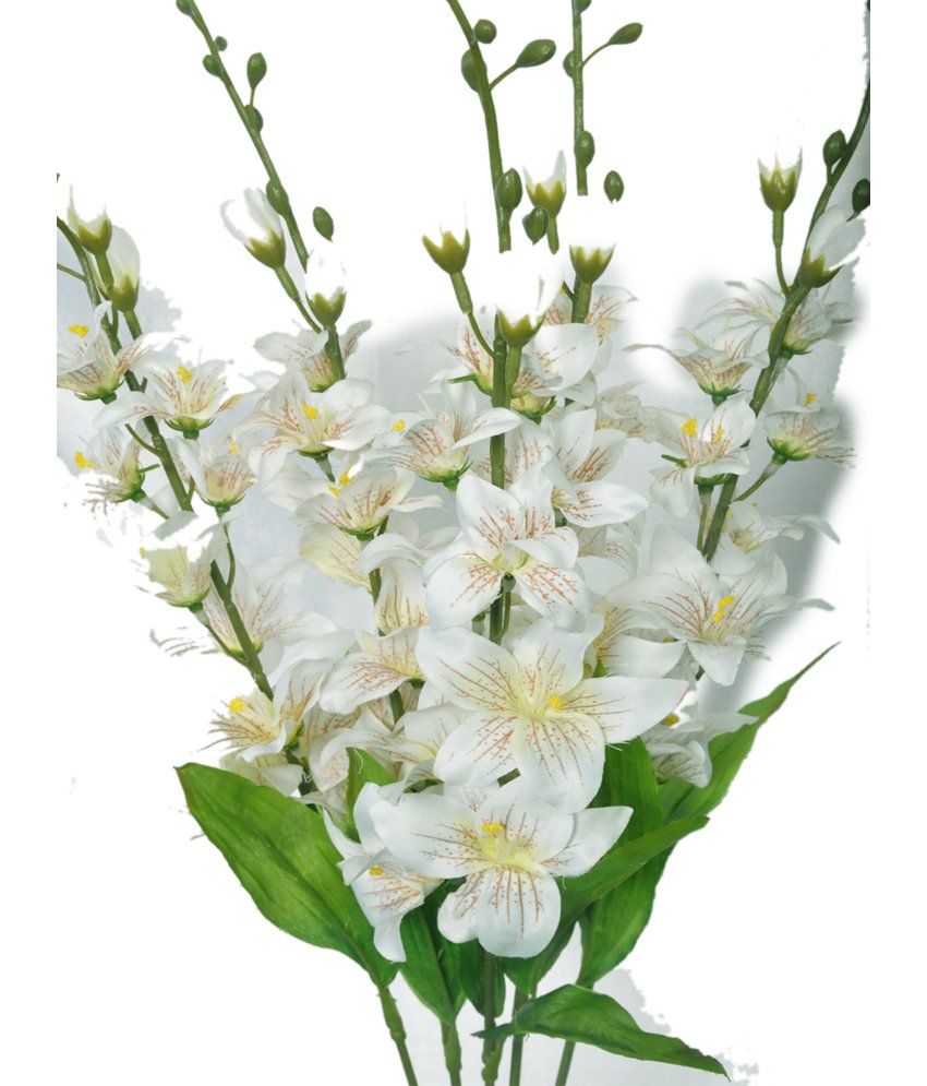 Single Stalk Of White Flowers Buy Single Stalk Of White Flowers At 