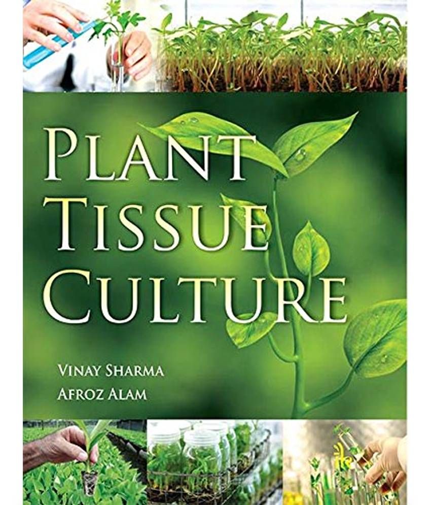 Plant Tissue Culture Buy Plant Tissue Culture Online At Low Price In plant-tissue-culture-buy-plant-tissue-culture-online-at-low-price-in