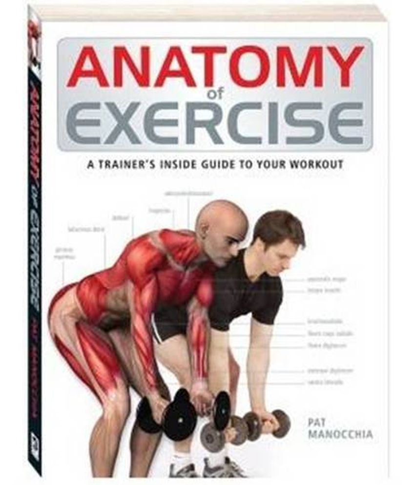 Anatomy Of Exercise Buy Anatomy Of Exercise Online At Low Price In Anatomy Of Exercise Buy Anatomy Of Exercise Online At Low Price In