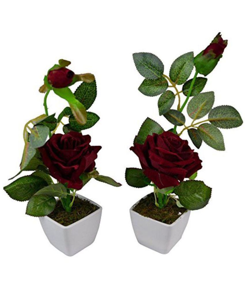 UC Rose Flowers With Pot Maroon: Buy UC Rose Flowers With Pot Maroon at ...