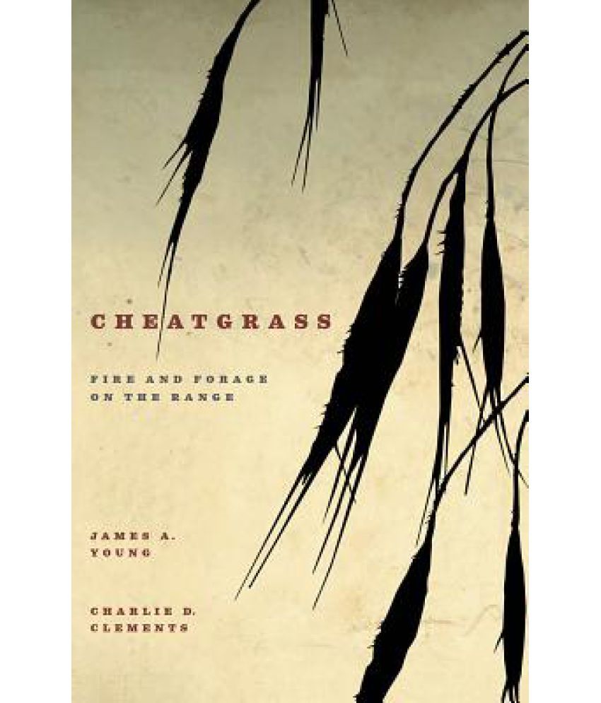 Cheatgrass: Fire and Forage on the Range: Buy Cheatgrass: Fire and ...