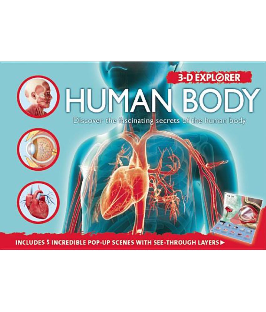 3-D Explorer: Human Body: Buy 3-D Explorer: Human Body Online at Low ...