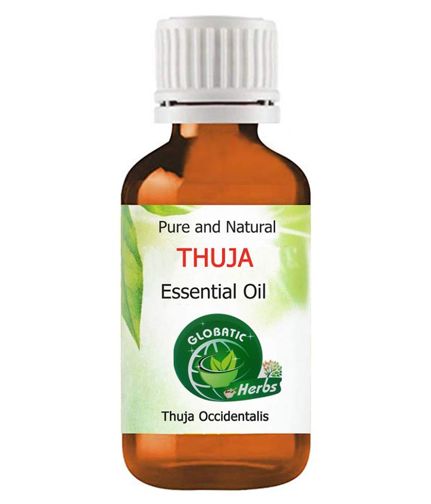 Globatic Herbs Thuja Essential Oil 50 mL: Buy Globatic Herbs Thuja ...
