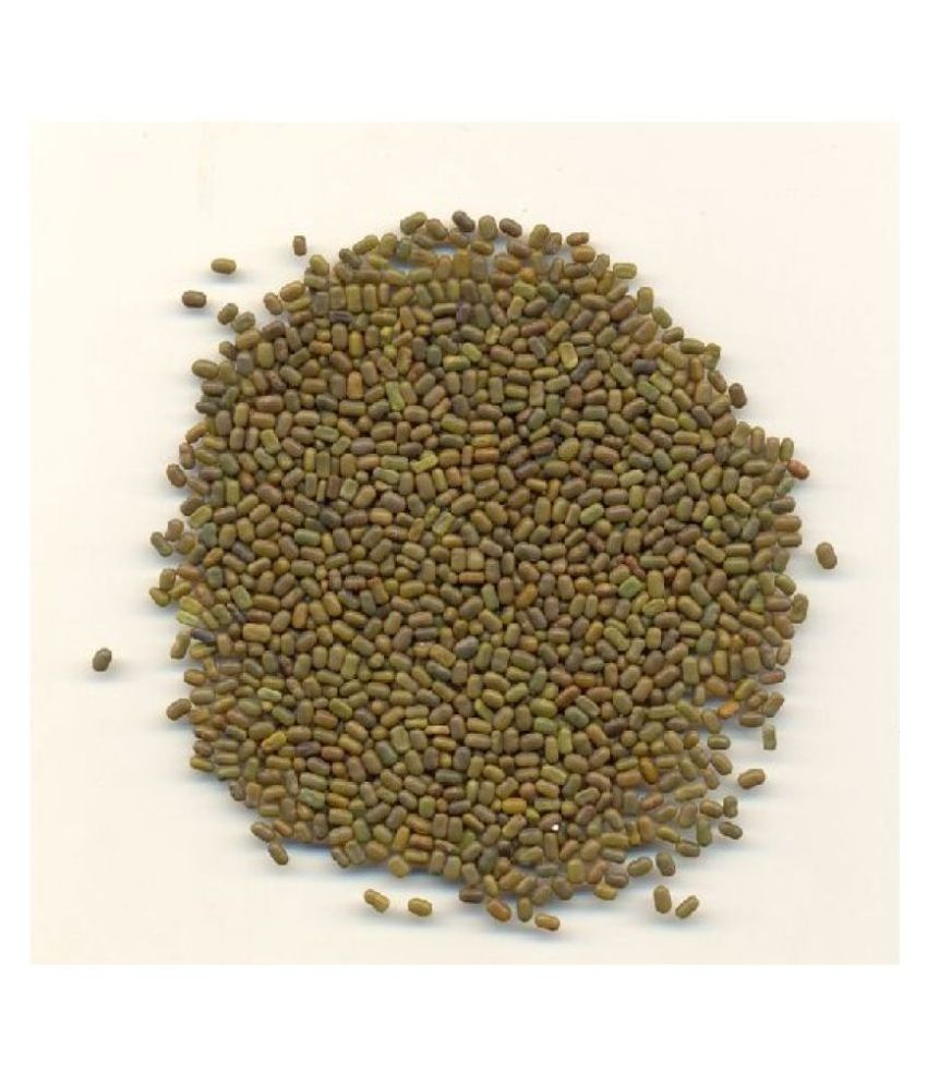 DHAINCHA/PRIKLY SESBAN/SESBANIA BISPINOSA/MALAIMURUNGAI SEED 100 GM ...