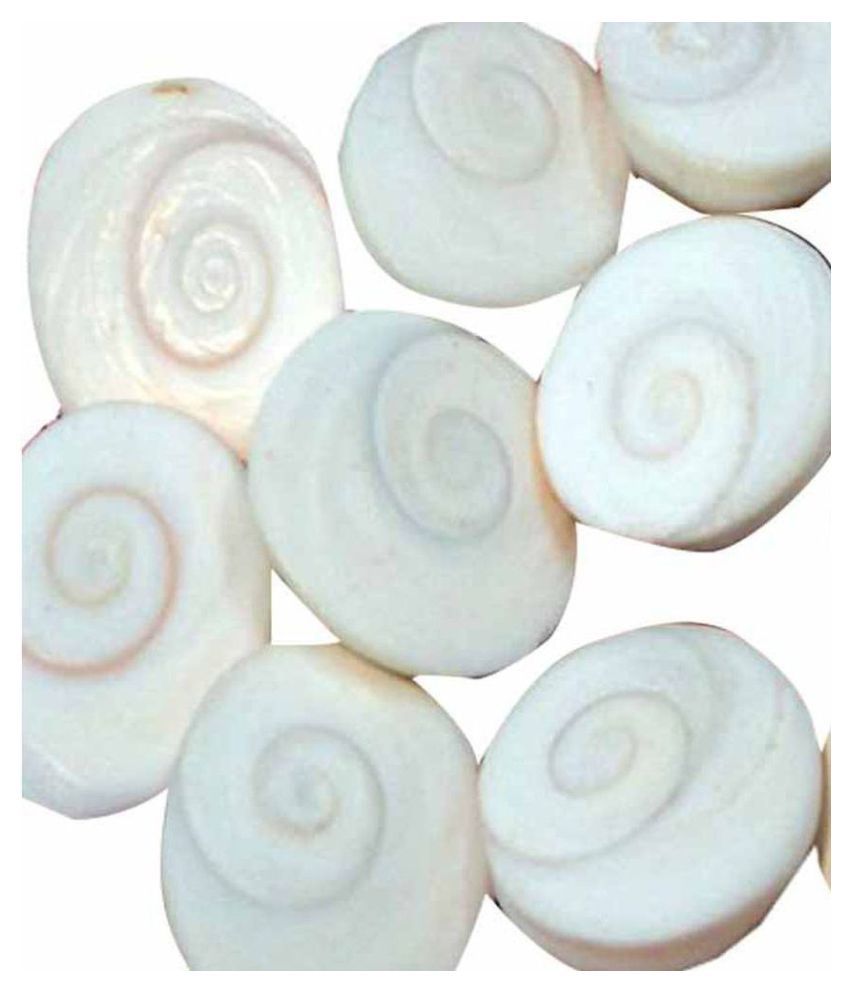 Natural Very Rare Gomati Chakra - 11 Pcs: Buy Natural Very Rare Gomati ...