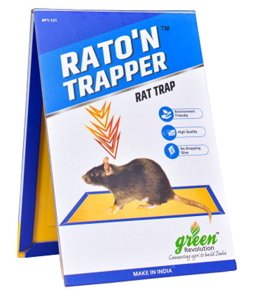 Buy Mouse Glue Trap Rat Trap Pack Of 5 Online At Best Price In India buy-mouse-glue-trap-rat-trap-pack-of-5-online-at-best-price-in-india